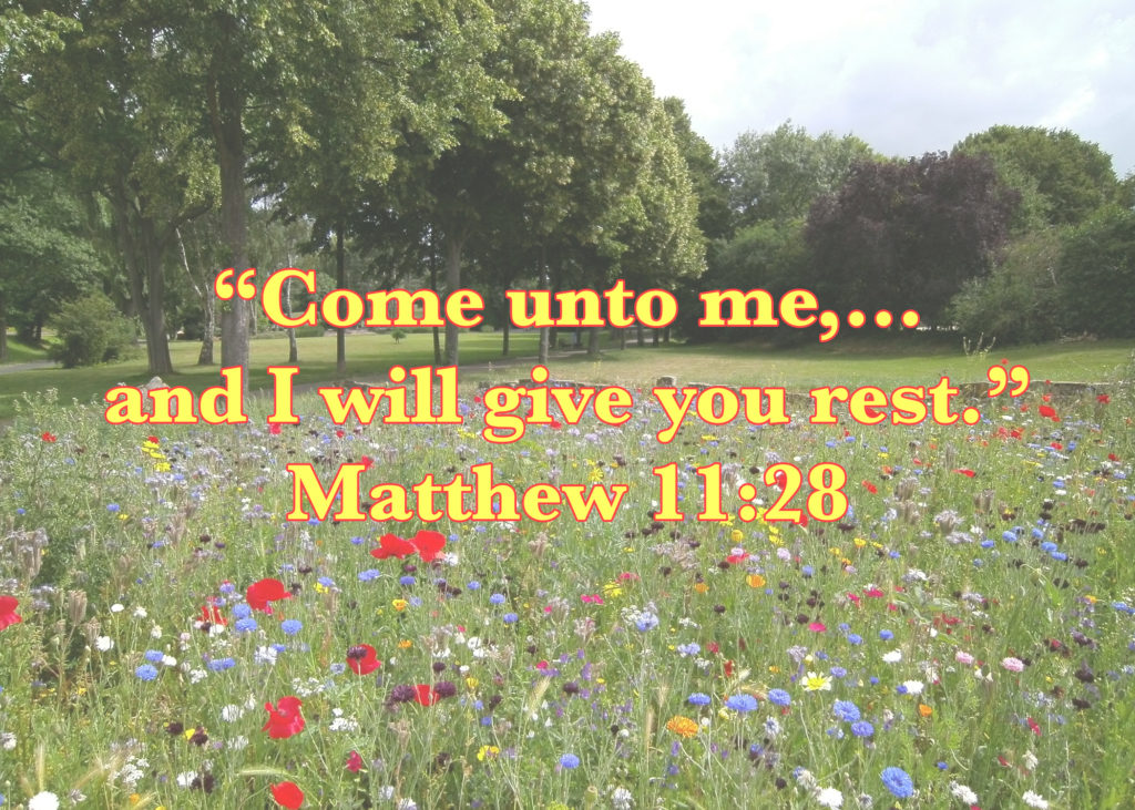 "The Rest That Can Bring Complete Rest!!" Part 8